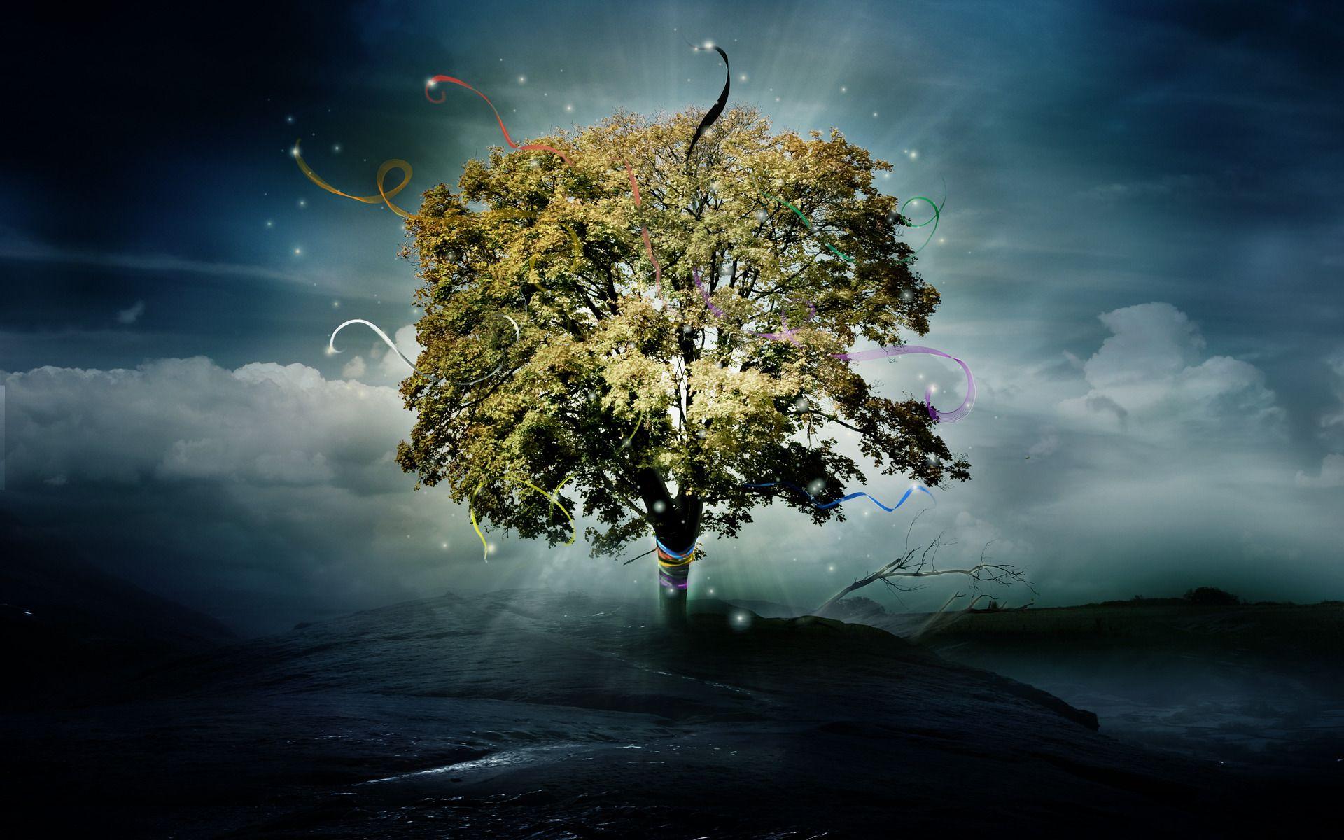 Hopeful Wallpapers - Top Free Hopeful Backgrounds - WallpaperAccess