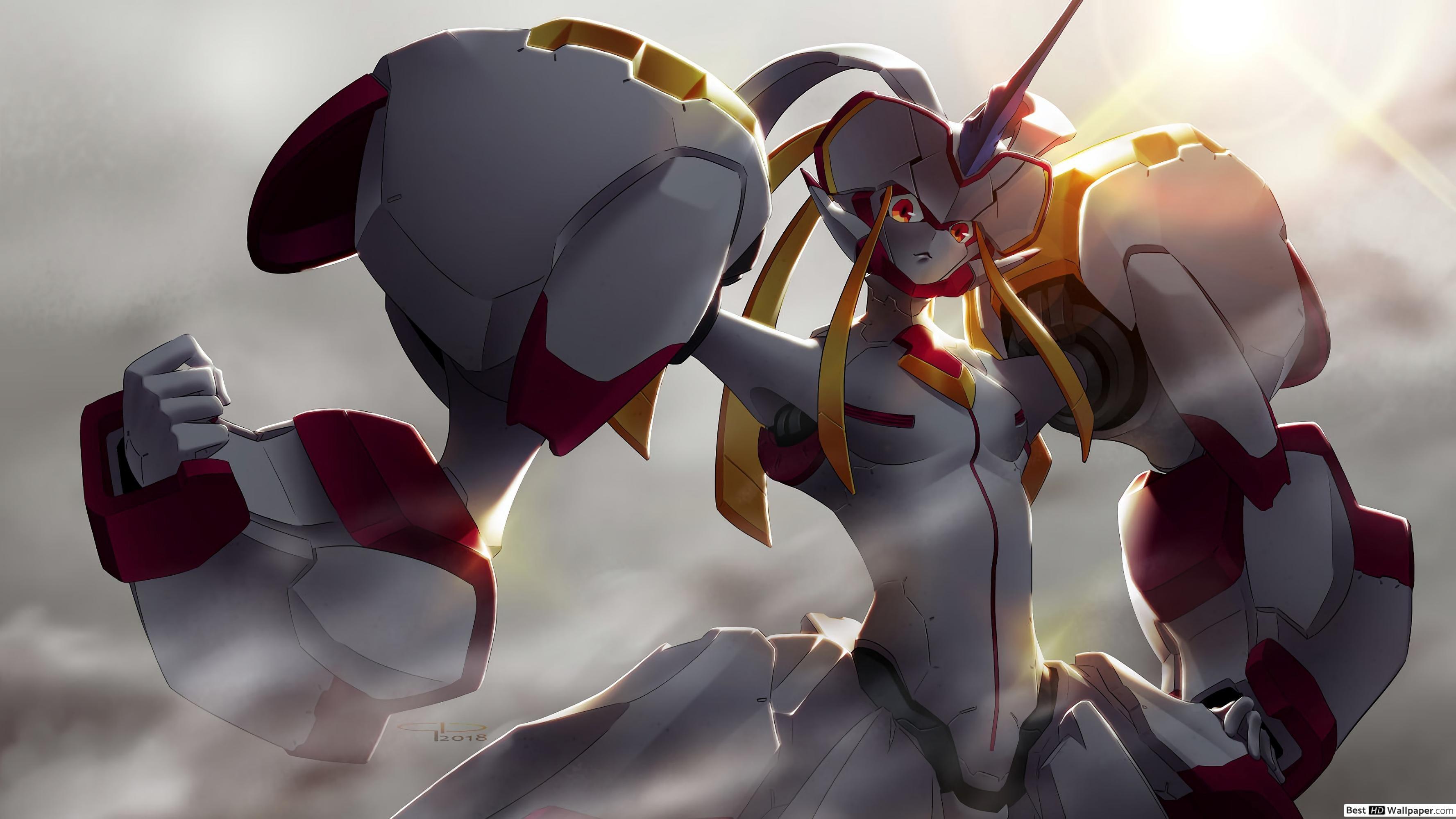 Strelitzia Wallpapers - Top Free Strelitzia Backgrounds - WallpaperAccess