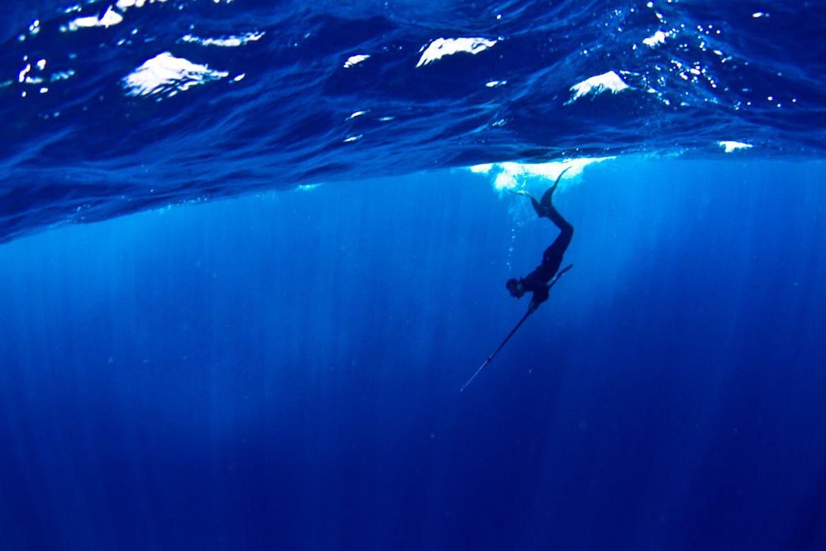 Spearfishing Wallpapers - Top Free Spearfishing Backgrounds ...