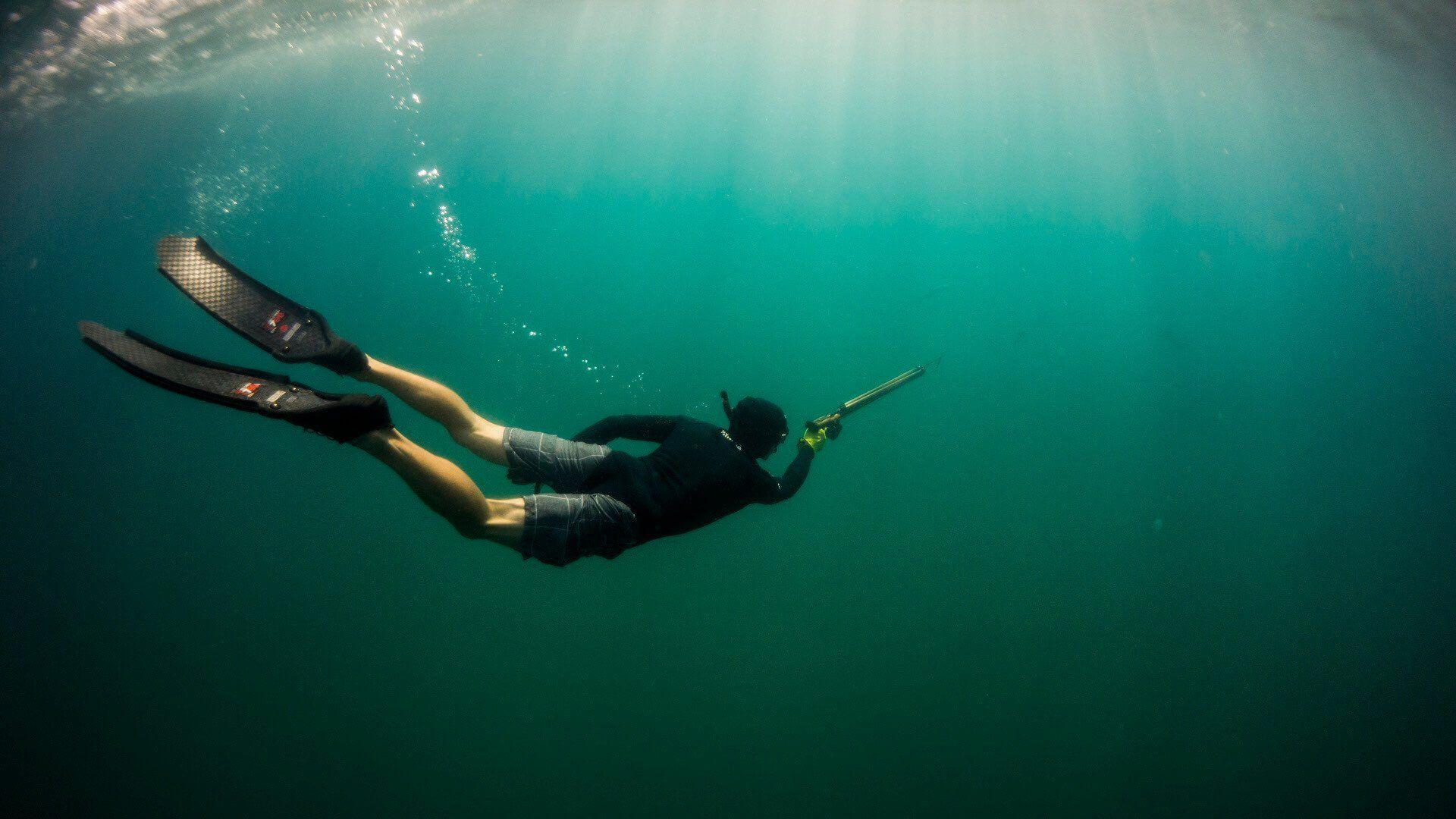 Spearfishing Wallpapers - Top Free Spearfishing Backgrounds ...