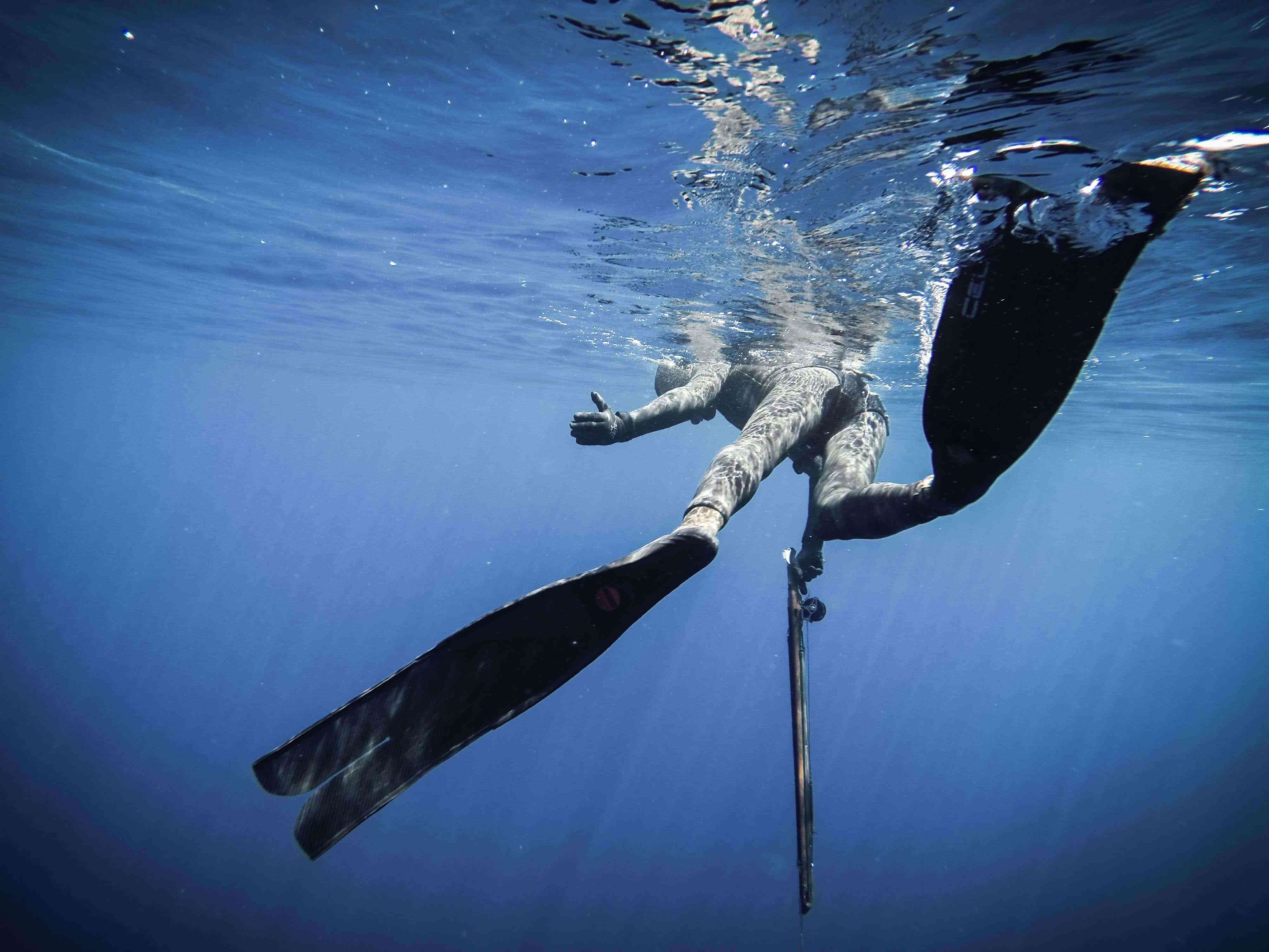 Spearfishing Wallpapers - Top Free Spearfishing Backgrounds ...