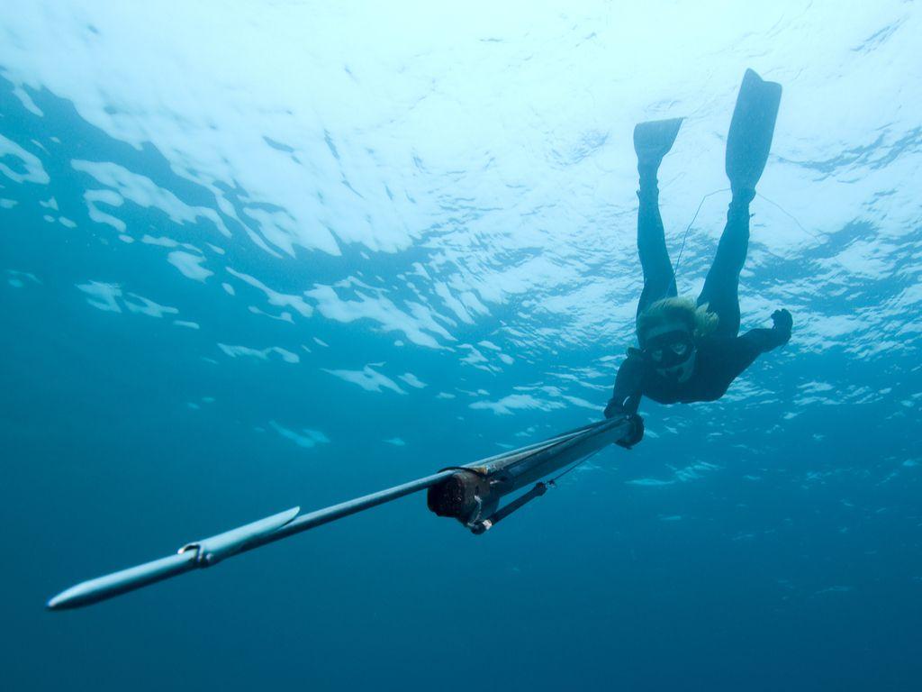Spearfishing Wallpapers - Top Free Spearfishing Backgrounds - WallpaperAccess