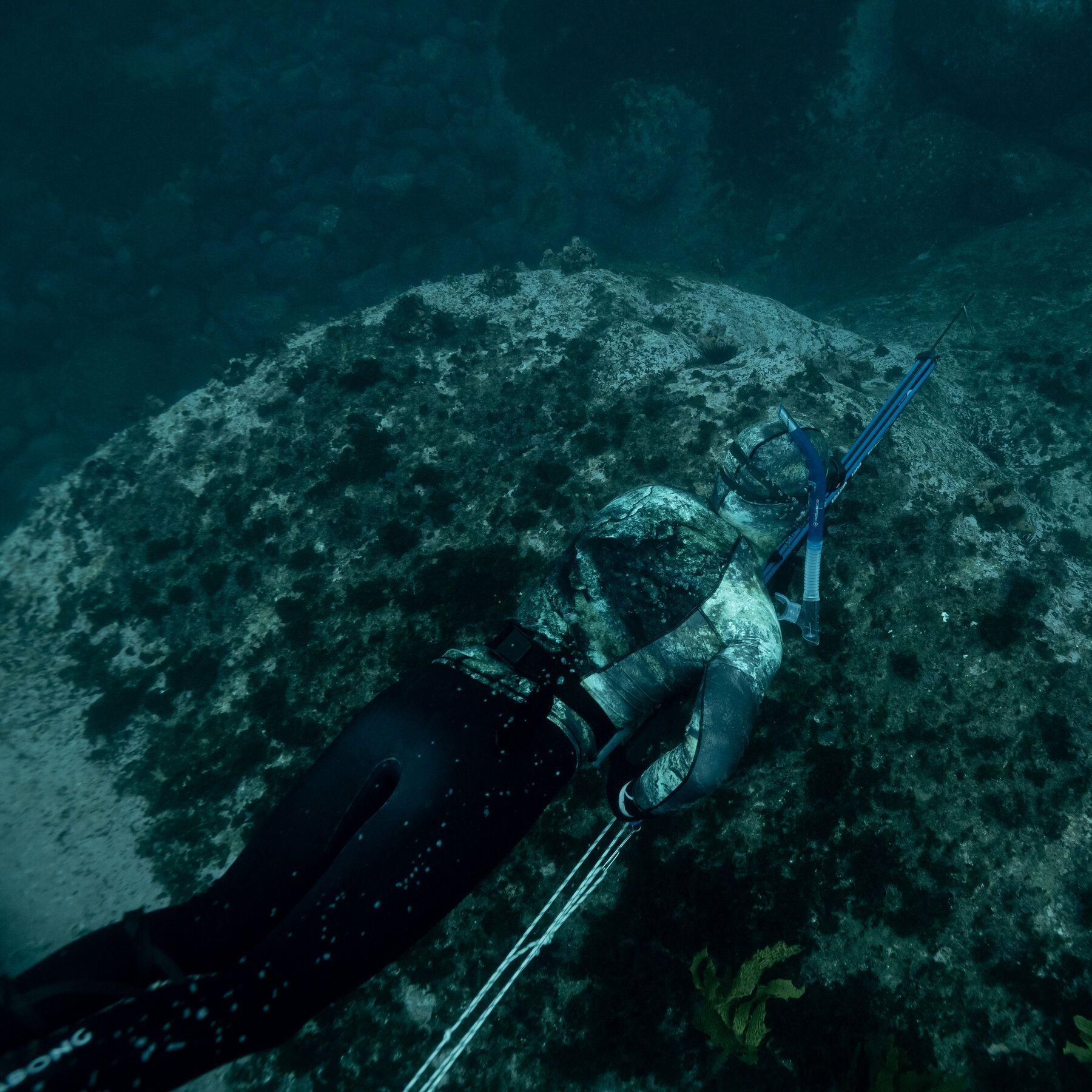 Spearfishing Wallpapers - Top Free Spearfishing Backgrounds ...