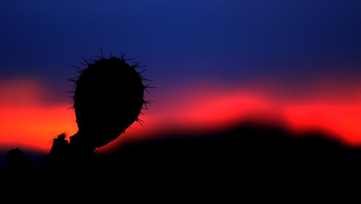 Tucson Sunset Wallpapers - Top Free Tucson Sunset Backgrounds ...