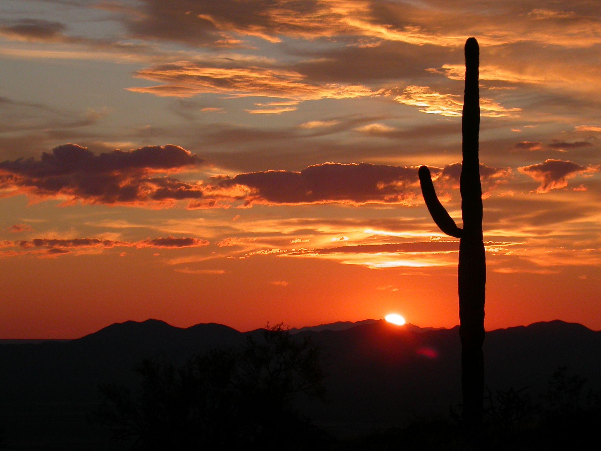 Tucson Sunset Wallpapers - Top Free Tucson Sunset Backgrounds ...