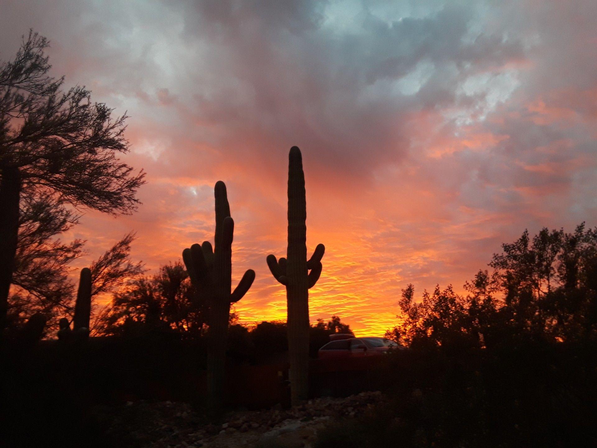 Tucson Sunset Wallpapers - Top Free Tucson Sunset Backgrounds ...