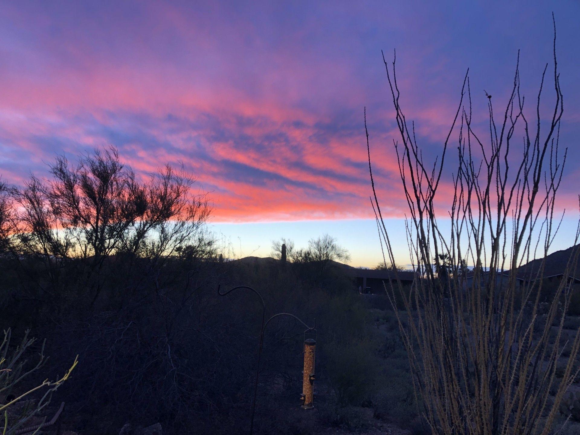 Tucson Sunset Wallpapers - Top Free Tucson Sunset Backgrounds ...