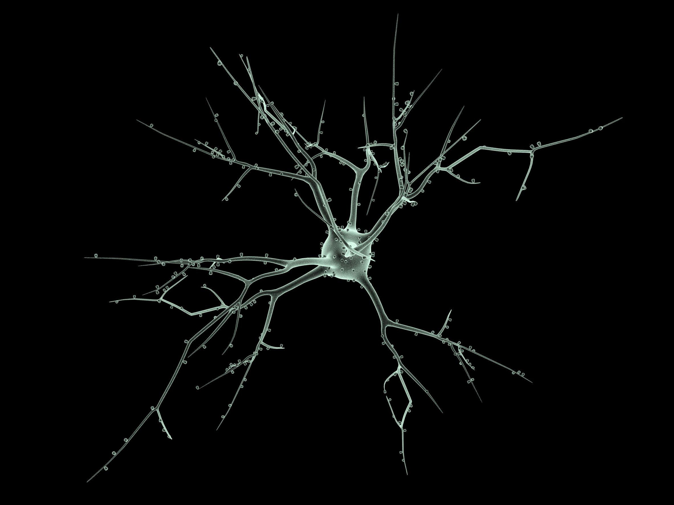 Brain Neuron Wallpapers - Top Free Brain Neuron Backgrounds ...