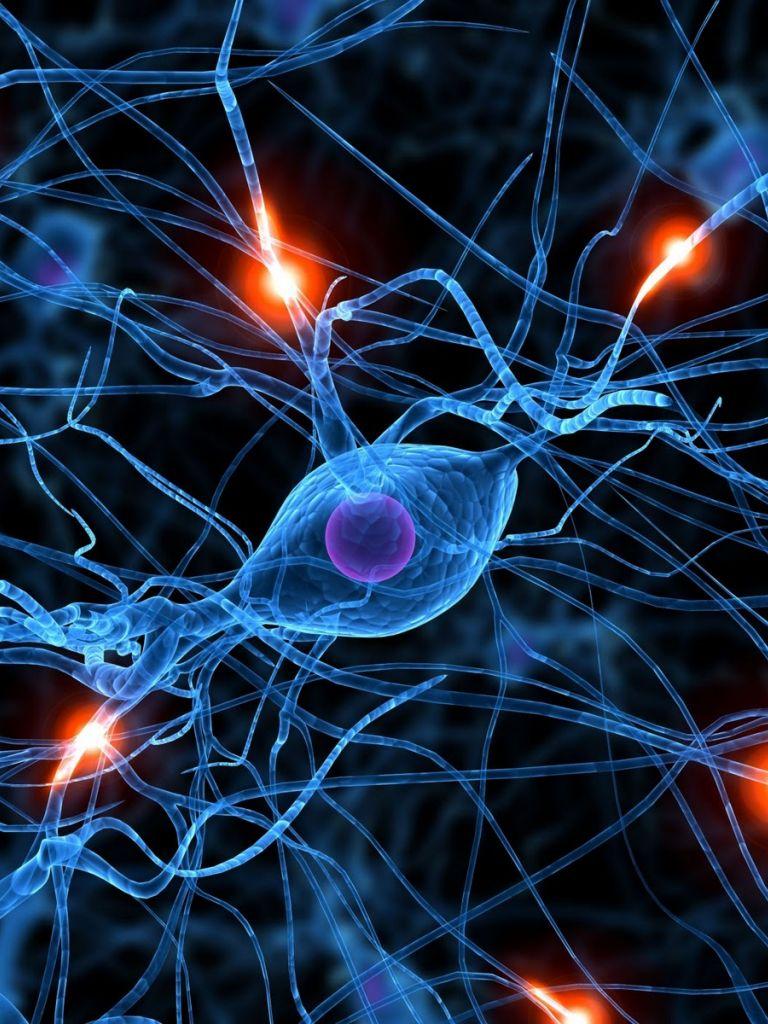 Brain Neuron Wallpapers - Top Free Brain Neuron Backgrounds ...