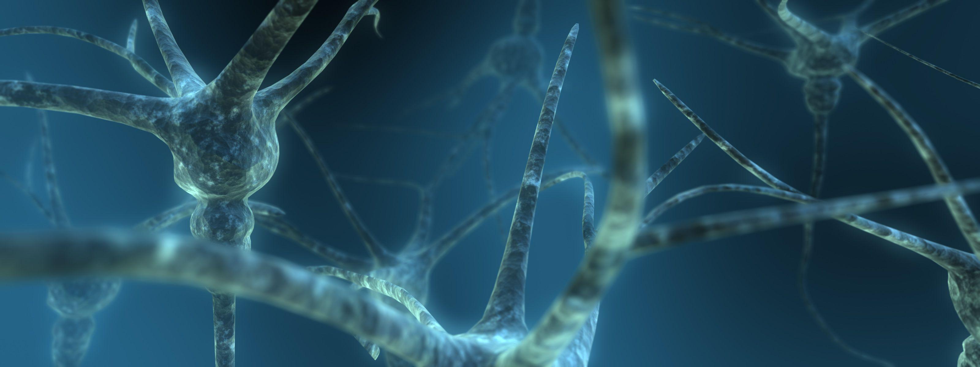 Brain Neuron Wallpapers - Top Free Brain Neuron Backgrounds ...