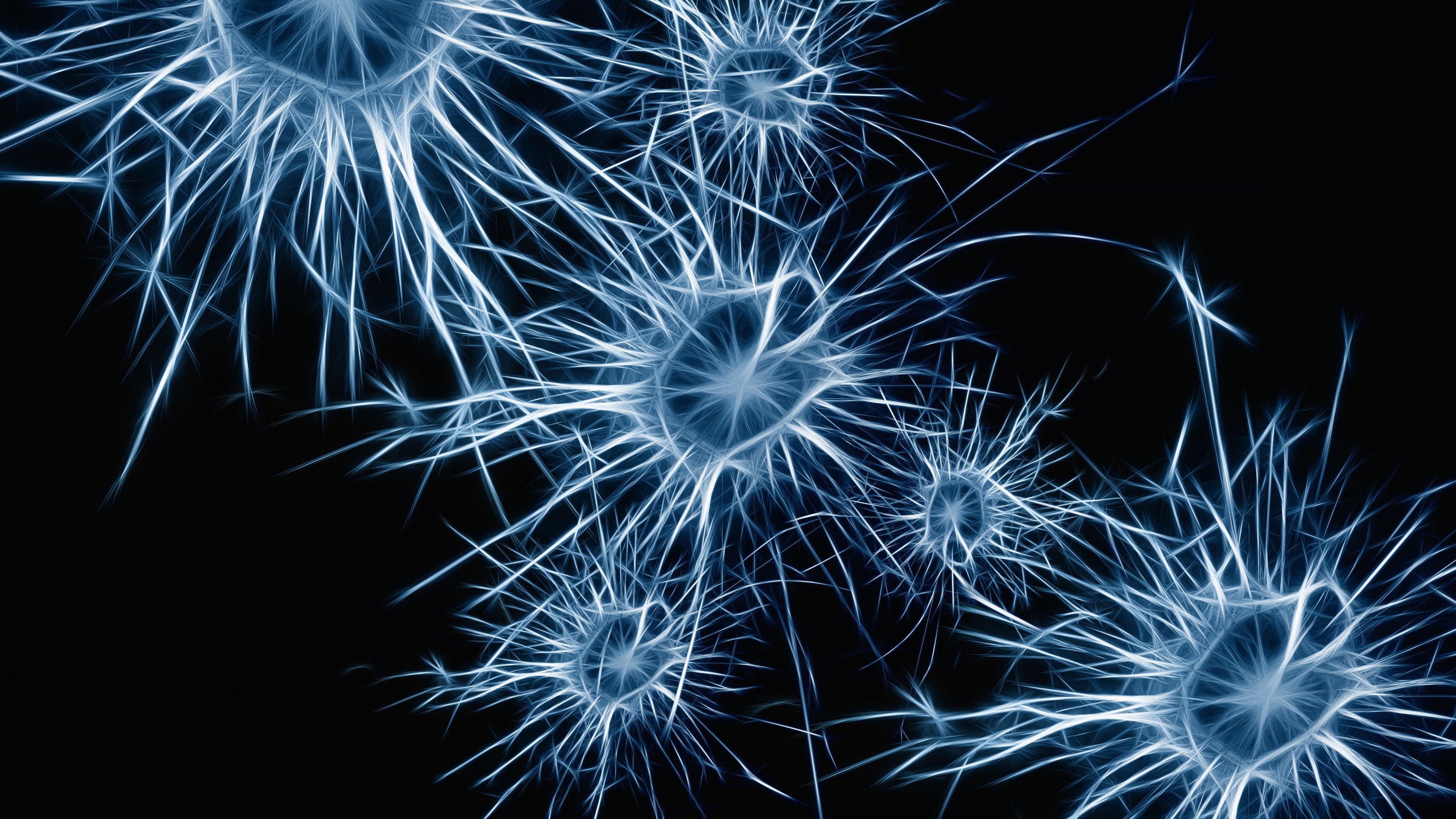 Brain Neuron Wallpapers - Top Free Brain Neuron Backgrounds ...