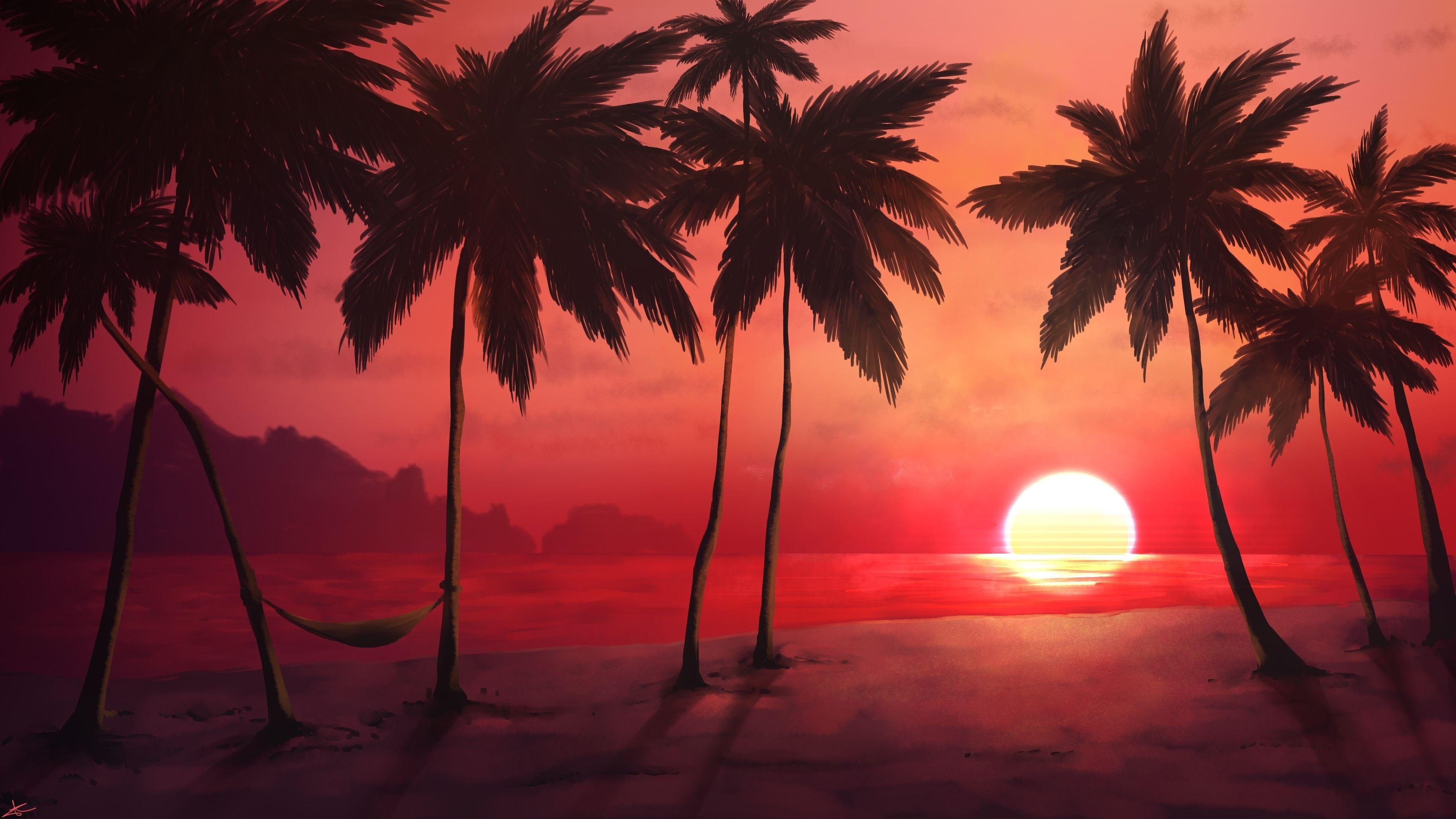 Palm Trees 4K Wallpapers - Top Free Palm Trees 4K Backgrounds ...
