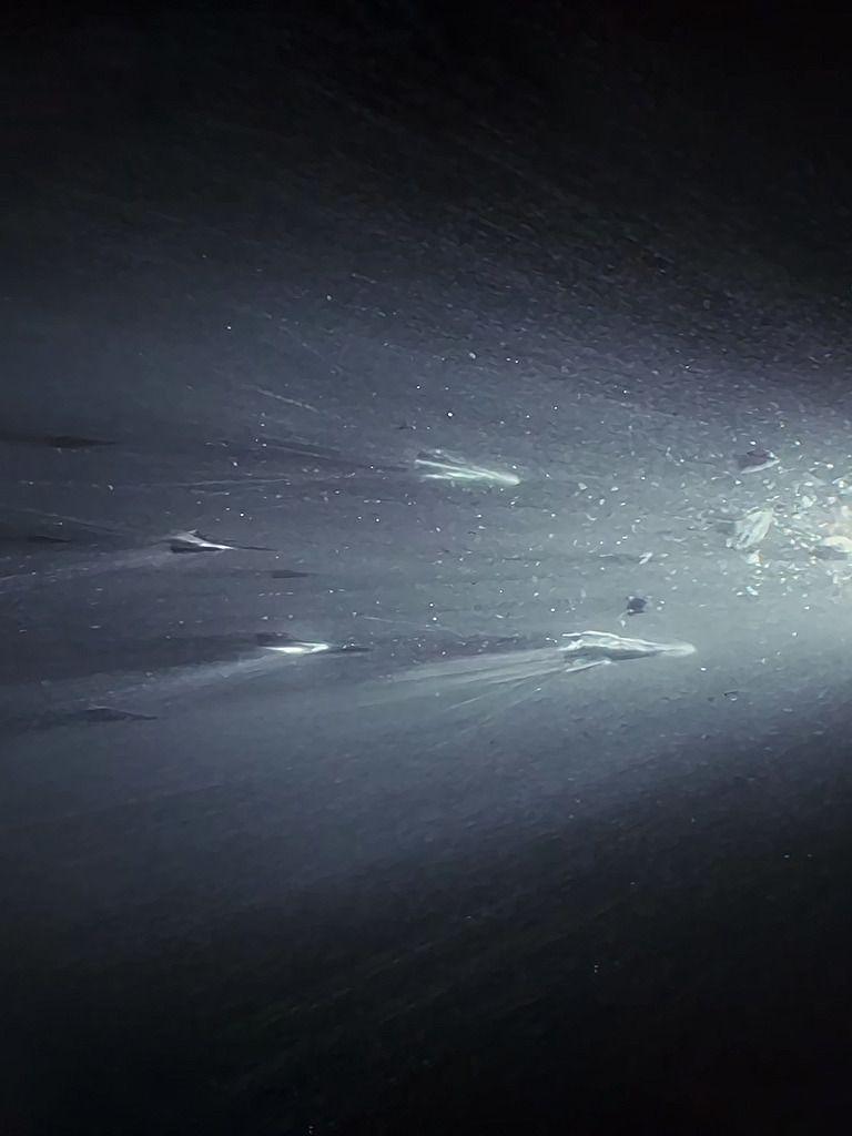 Lightspeed Wallpapers - Top Free Lightspeed Backgrounds - WallpaperAccess