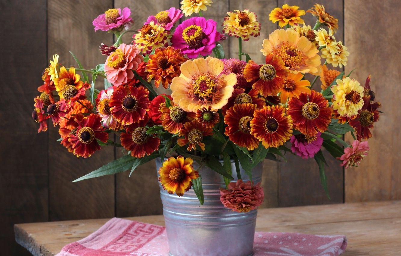 Flowers Autumn Wallpapers - Top Free Flowers Autumn Backgrounds ...