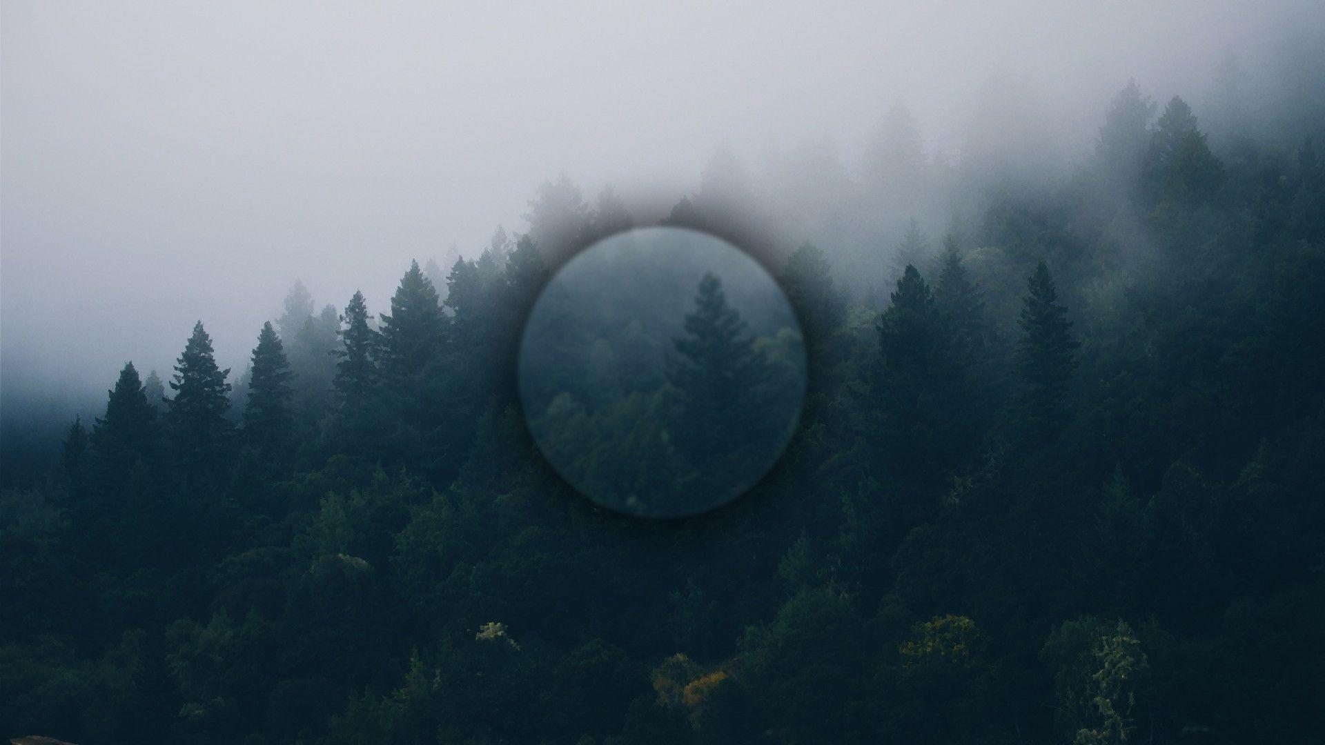 1920X1080 Minimalist Forest Wallpapers - Top Free 1920X1080 Minimalist ...