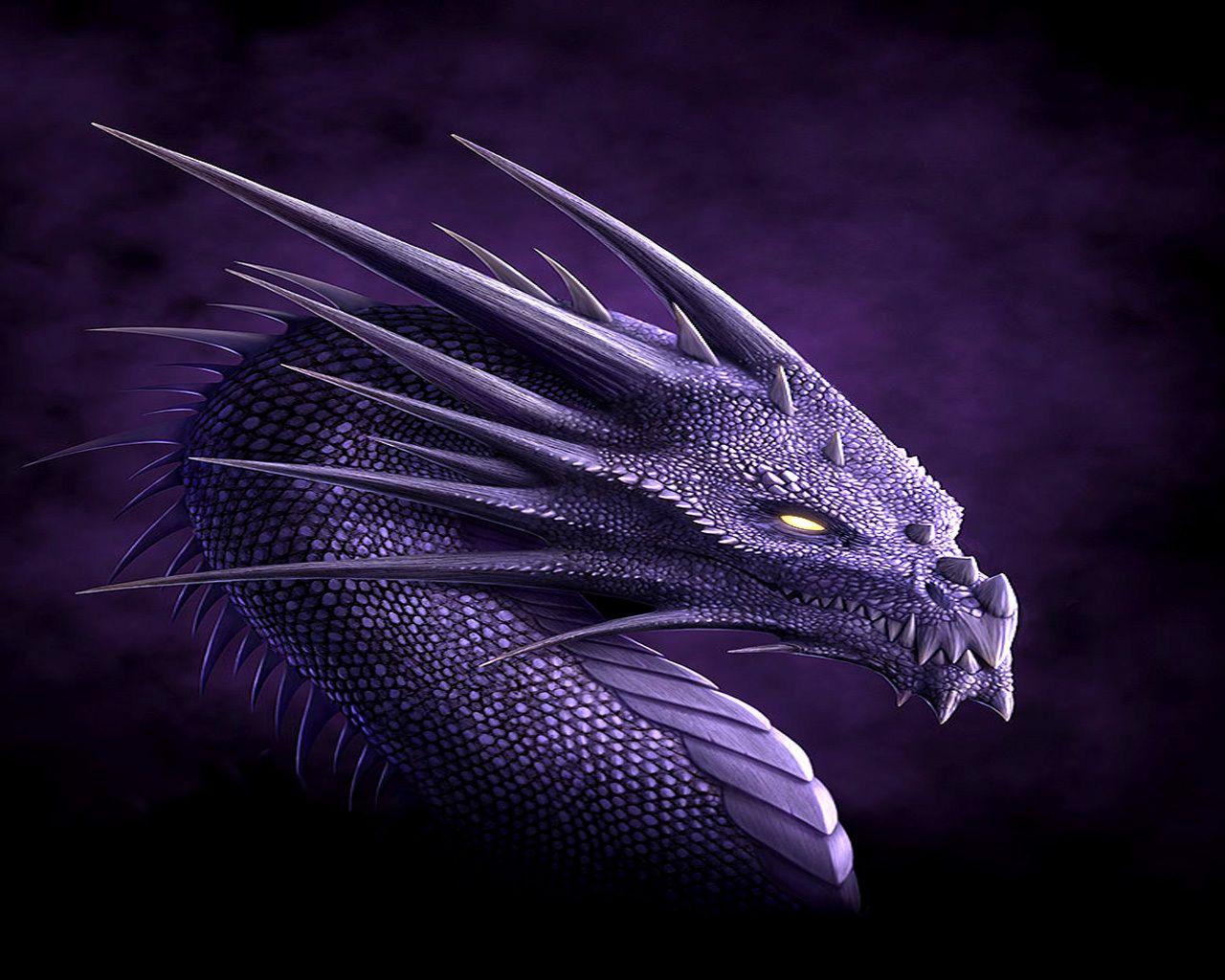 Naga Wallpapers - Top Free Naga Backgrounds - WallpaperAccess