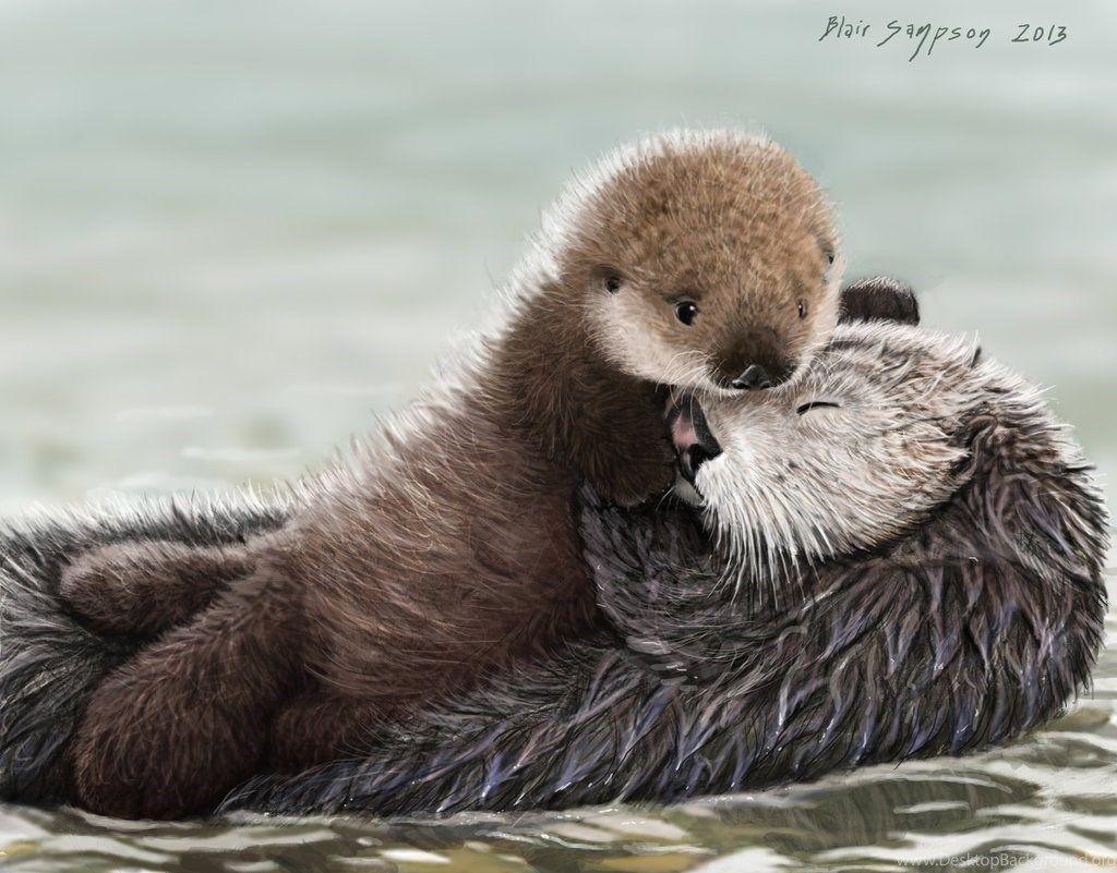 Cute Sea Otter Wallpapers - Top Free Cute Sea Otter Backgrounds ...
