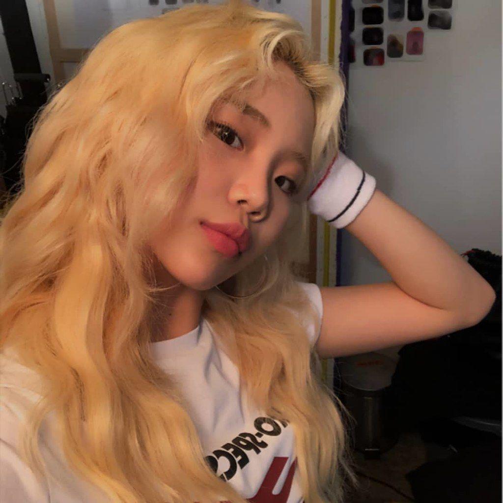 Jooe Momoland Wallpapers - Top Free Jooe Momoland Backgrounds ...