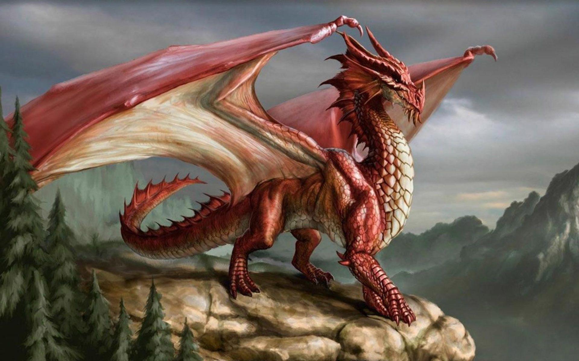 Red Fire Dragon Wallpapers - Top Free Red Fire Dragon Backgrounds ...