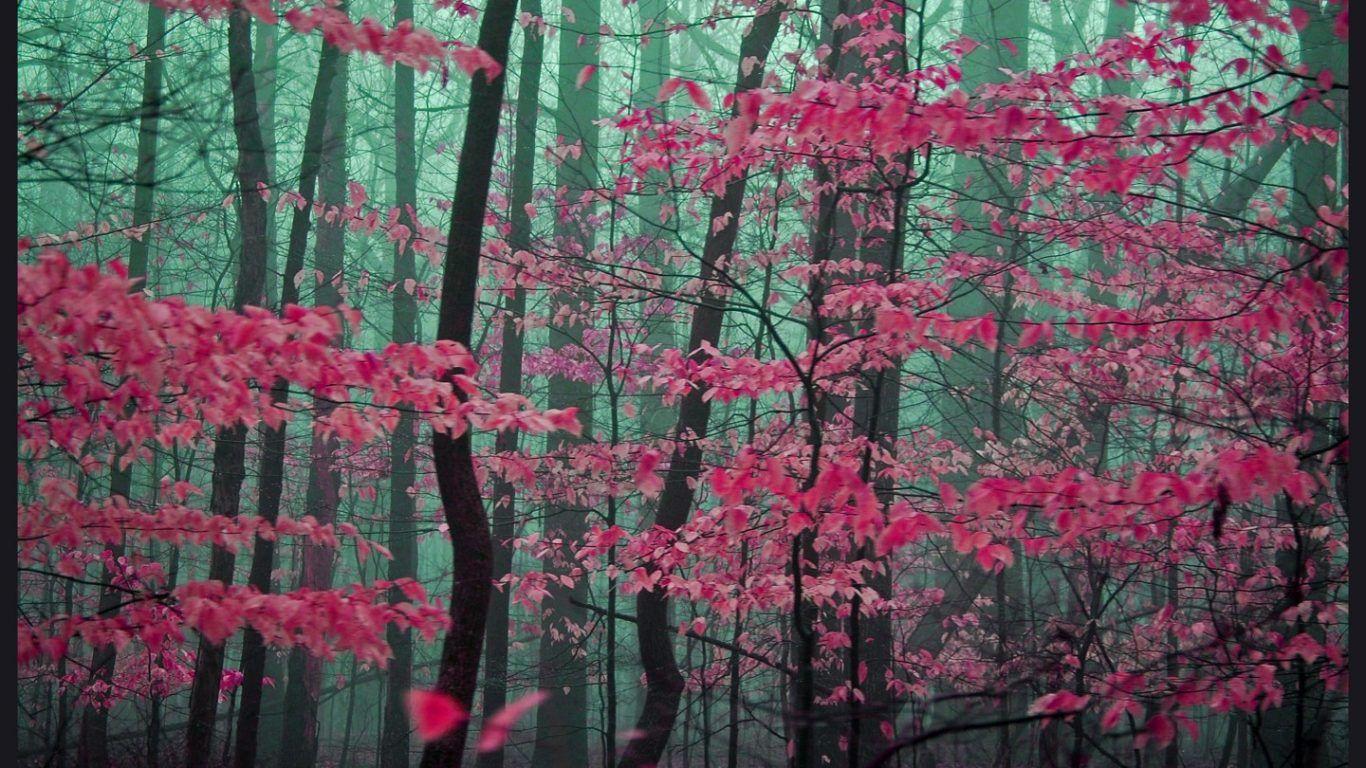 Vermont Spring Wallpapers - Top Free Vermont Spring Backgrounds ...