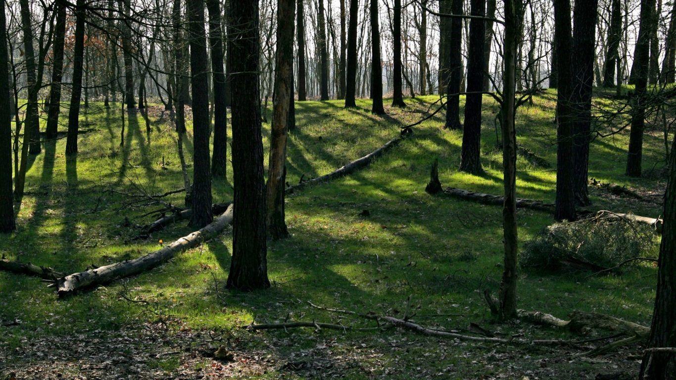 Vermont Spring Wallpapers - Top Free Vermont Spring Backgrounds ...