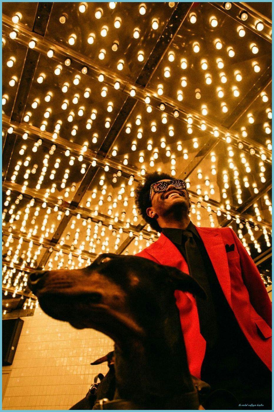 Heartless iPhone Wallpapers - Top Free Heartless iPhone Backgrounds ...