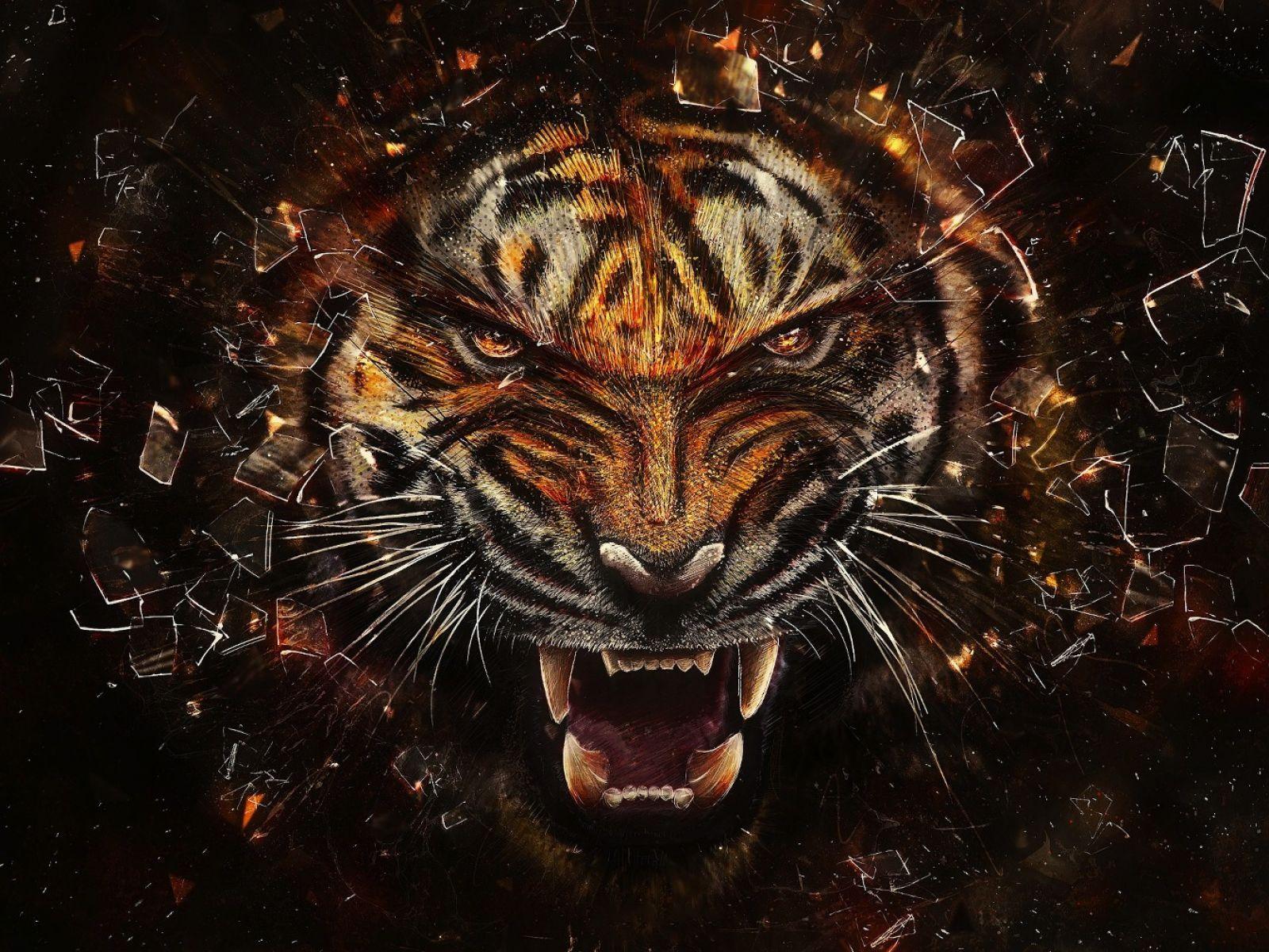 Angry Animal Wallpapers - Top Free Angry Animal Backgrounds ...
