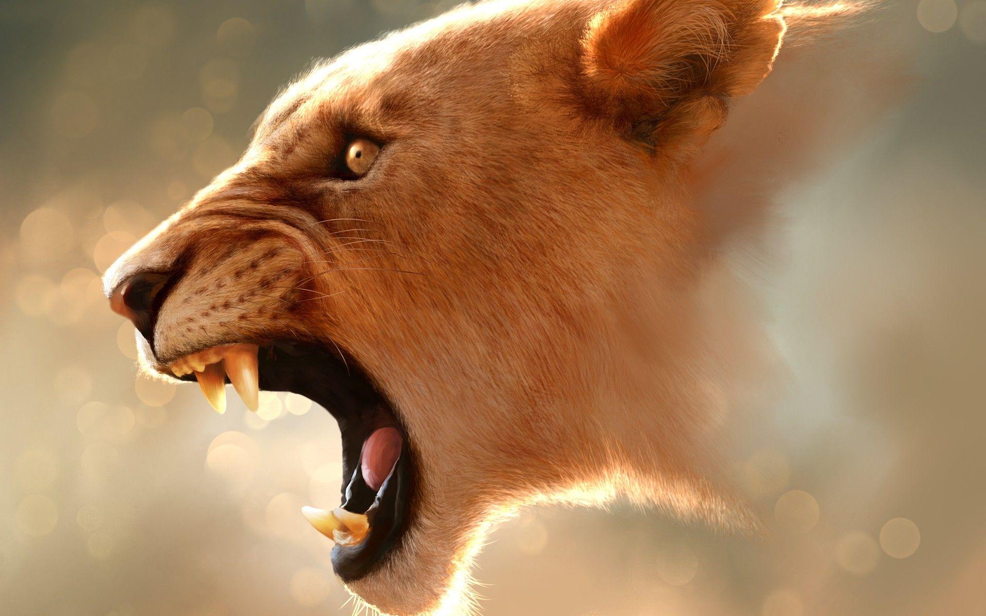 Angry Animal Wallpapers - Top Free Angry Animal Backgrounds ...