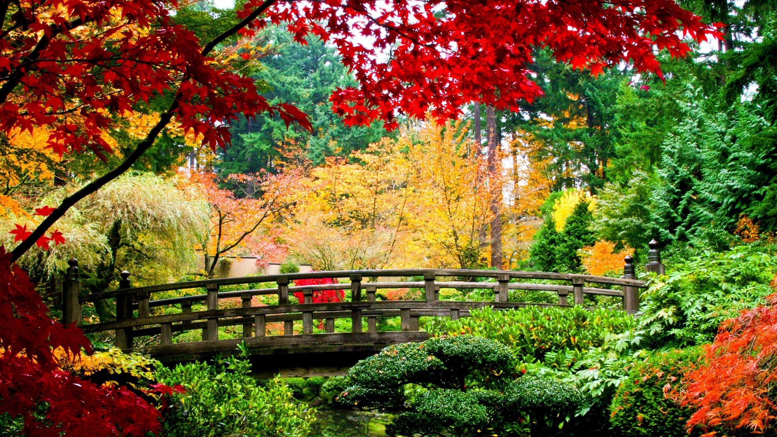China Nature Wallpapers - Top Free China Nature Backgrounds ...