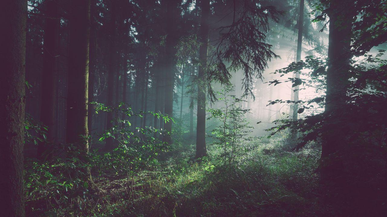 1280 X 720 Wallpapers - Top Free 1280 X 720 Backgrounds - WallpaperAccess