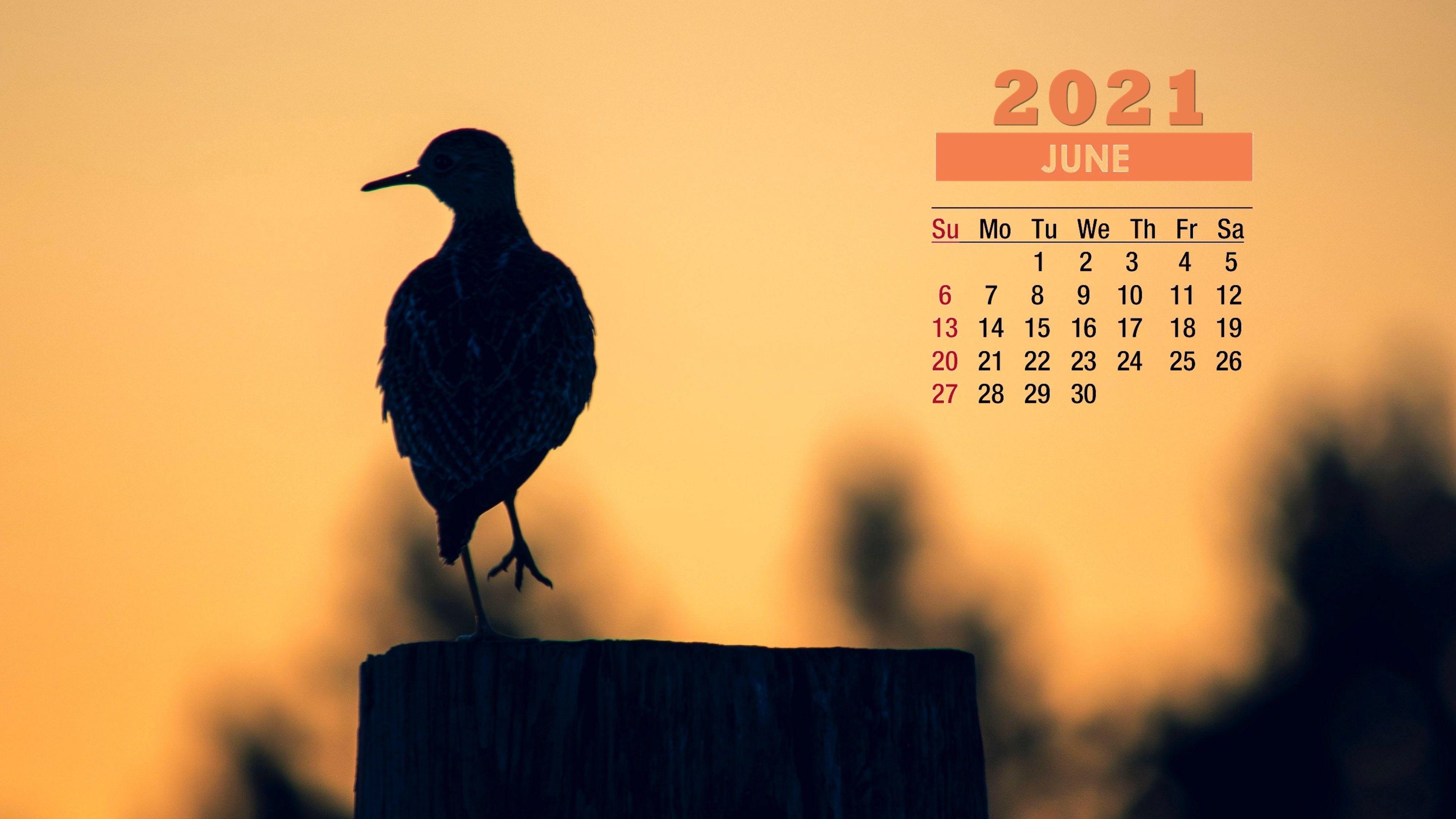 June 2021 Calendar Wallpapers - Top Free June 2021 Calendar Backgrounds ...