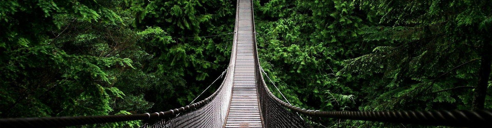 1920x500 Wallpapers - Top Free 1920x500 Backgrounds - WallpaperAccess