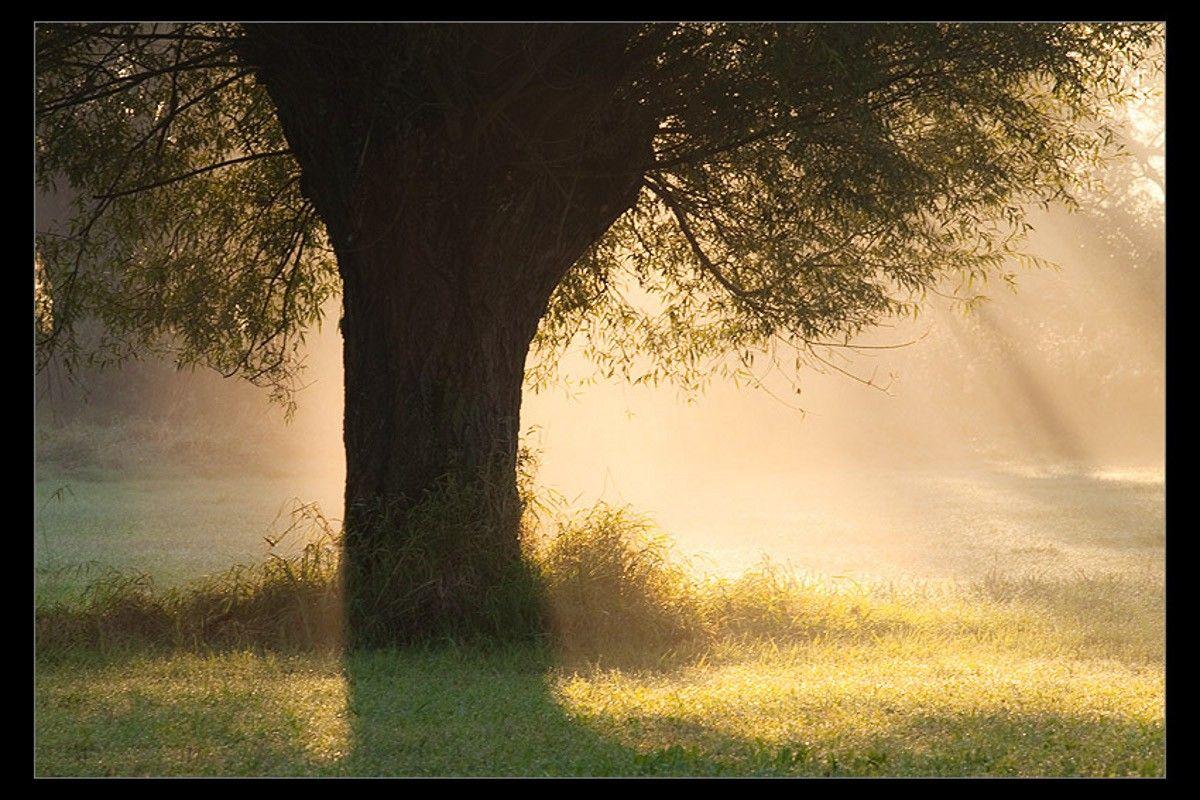 Poland Nature Wallpapers - Top Free Poland Nature Backgrounds ...