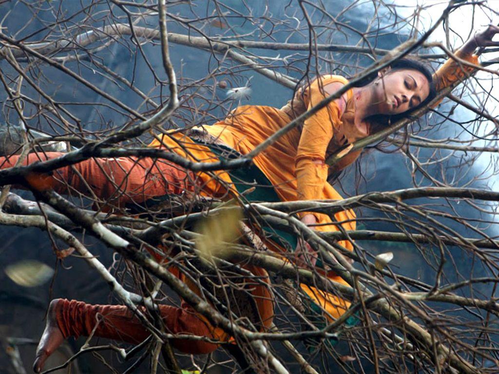 Maara Wallpapers - Top Free Maara Backgrounds - WallpaperAccess