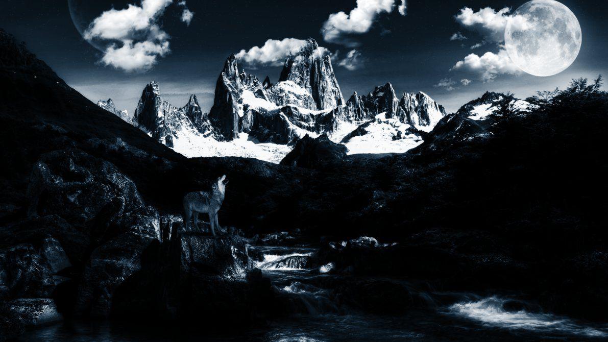 Nature Wolf Wallpapers - Top Free Nature Wolf Backgrounds - WallpaperAccess