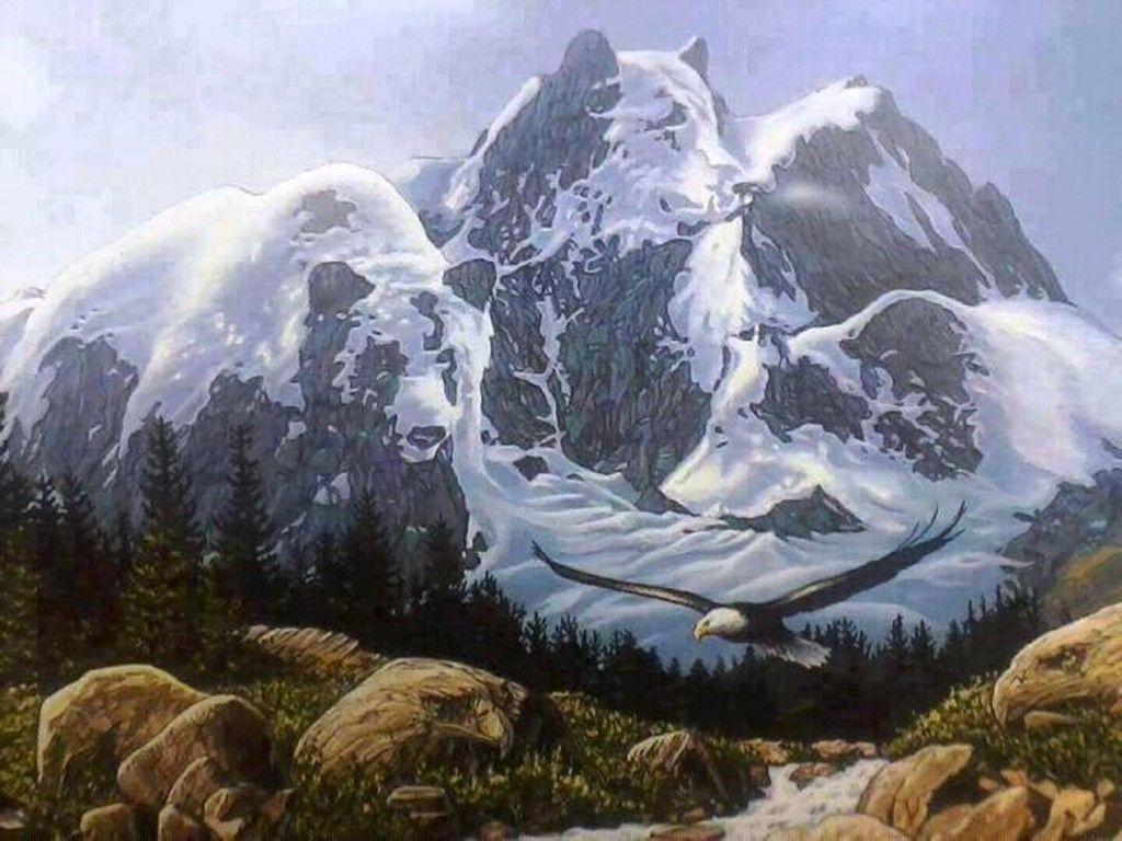 Nature Wolf Wallpapers - Top Free Nature Wolf Backgrounds - WallpaperAccess