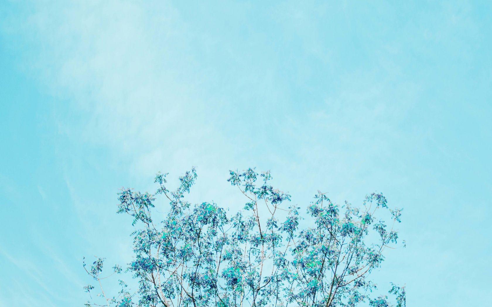 Aesthetic Blue Desktop Wallpapers - Top Free Aesthetic Blue Desktop ...