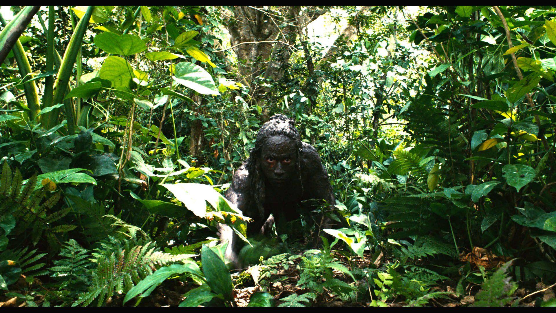 Apocalypto Wallpapers - Top Free Apocalypto Backgrounds - WallpaperAccess