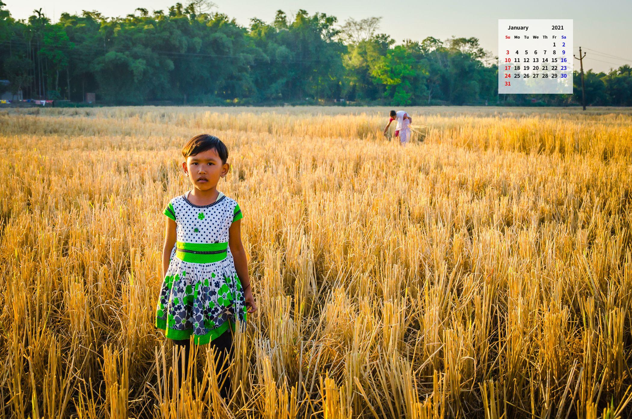 Paddy Wallpapers - Top Free Paddy Backgrounds - WallpaperAccess