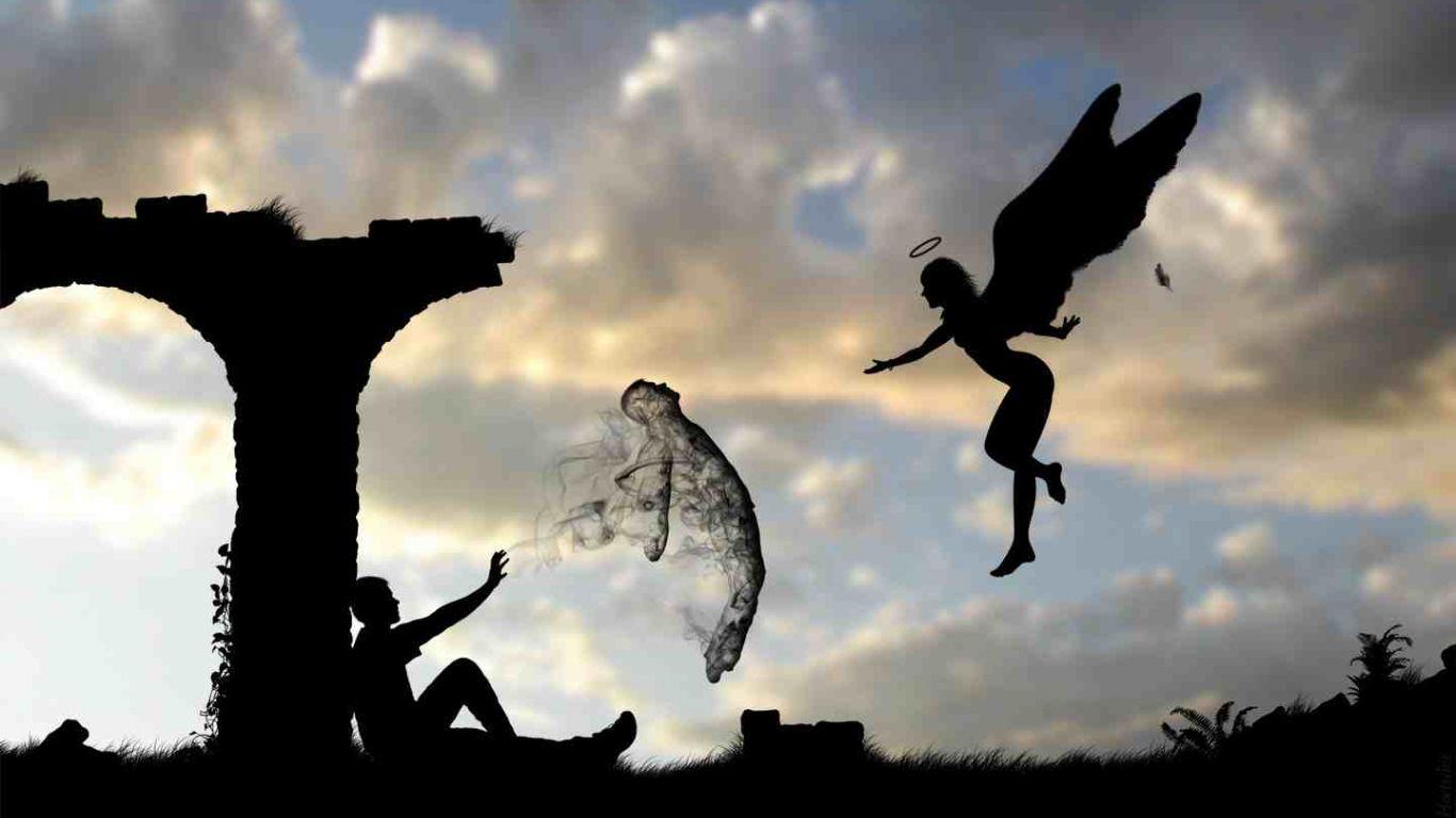 Weak Wallpapers - Top Free Weak Backgrounds - WallpaperAccess