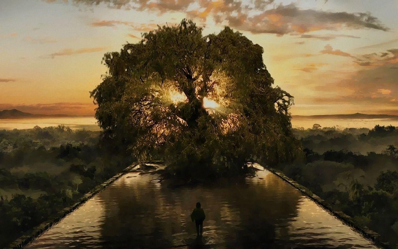 The Fountain Wallpapers - Top Free The Fountain Backgrounds ...