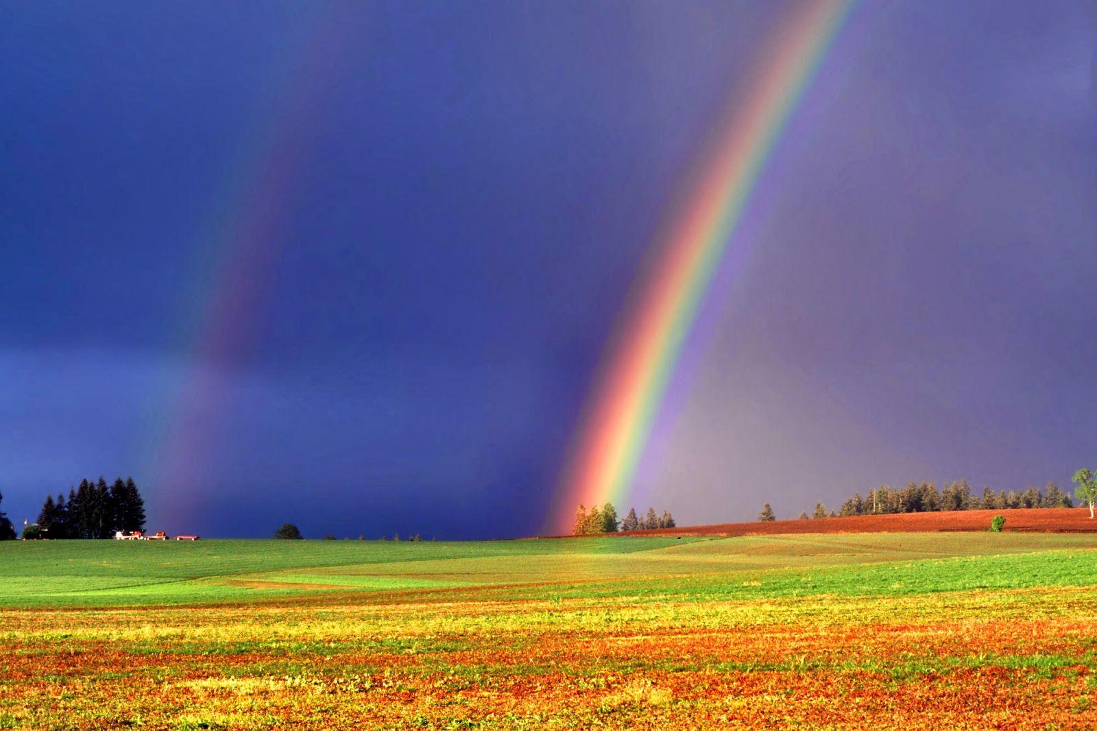 Rainbow Nature Wallpapers - Top Free Rainbow Nature Backgrounds ...