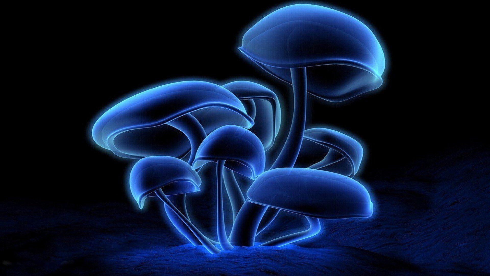 Fungi Wallpapers - Top Free Fungi Backgrounds - WallpaperAccess