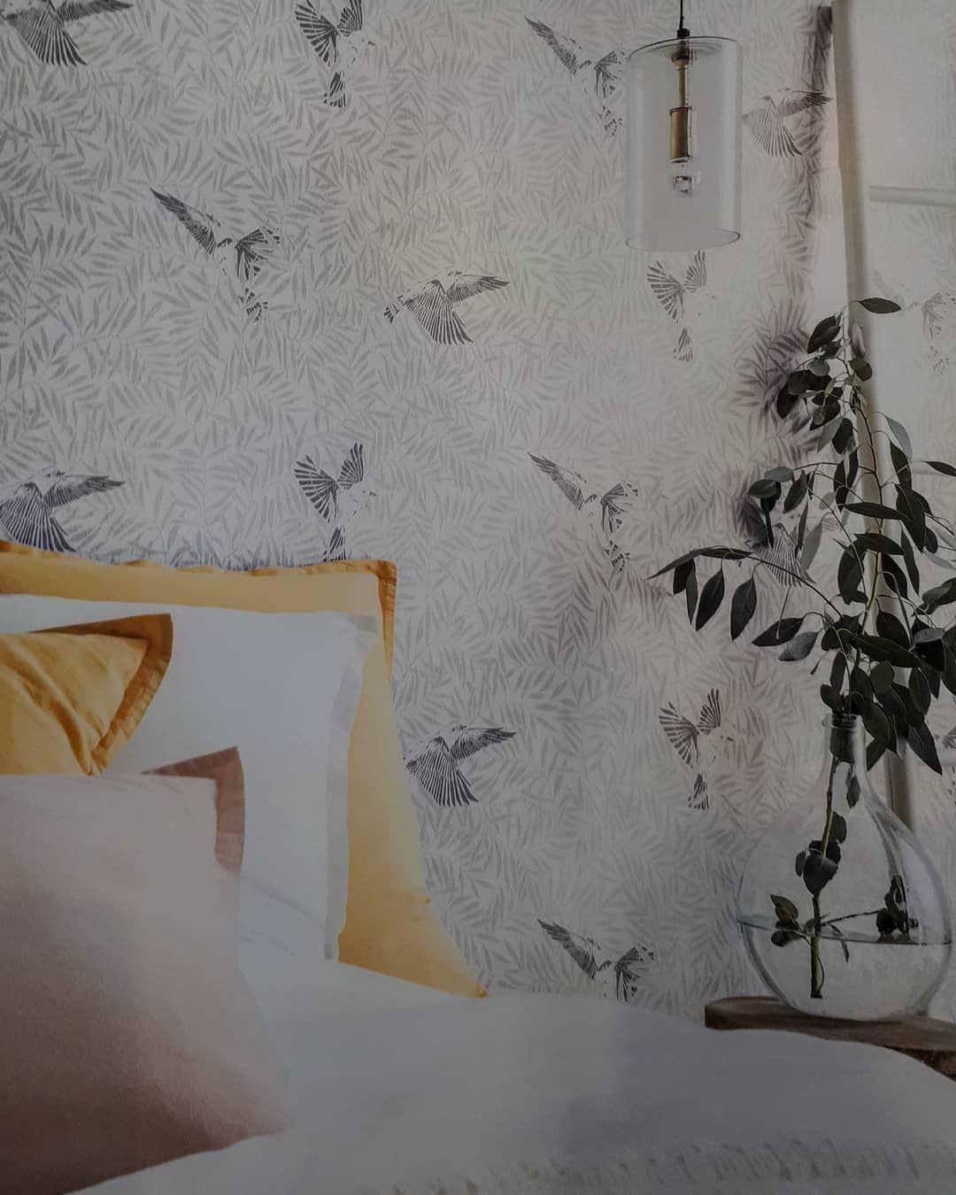 Birdy Wallpapers - Top Free Birdy Backgrounds - WallpaperAccess