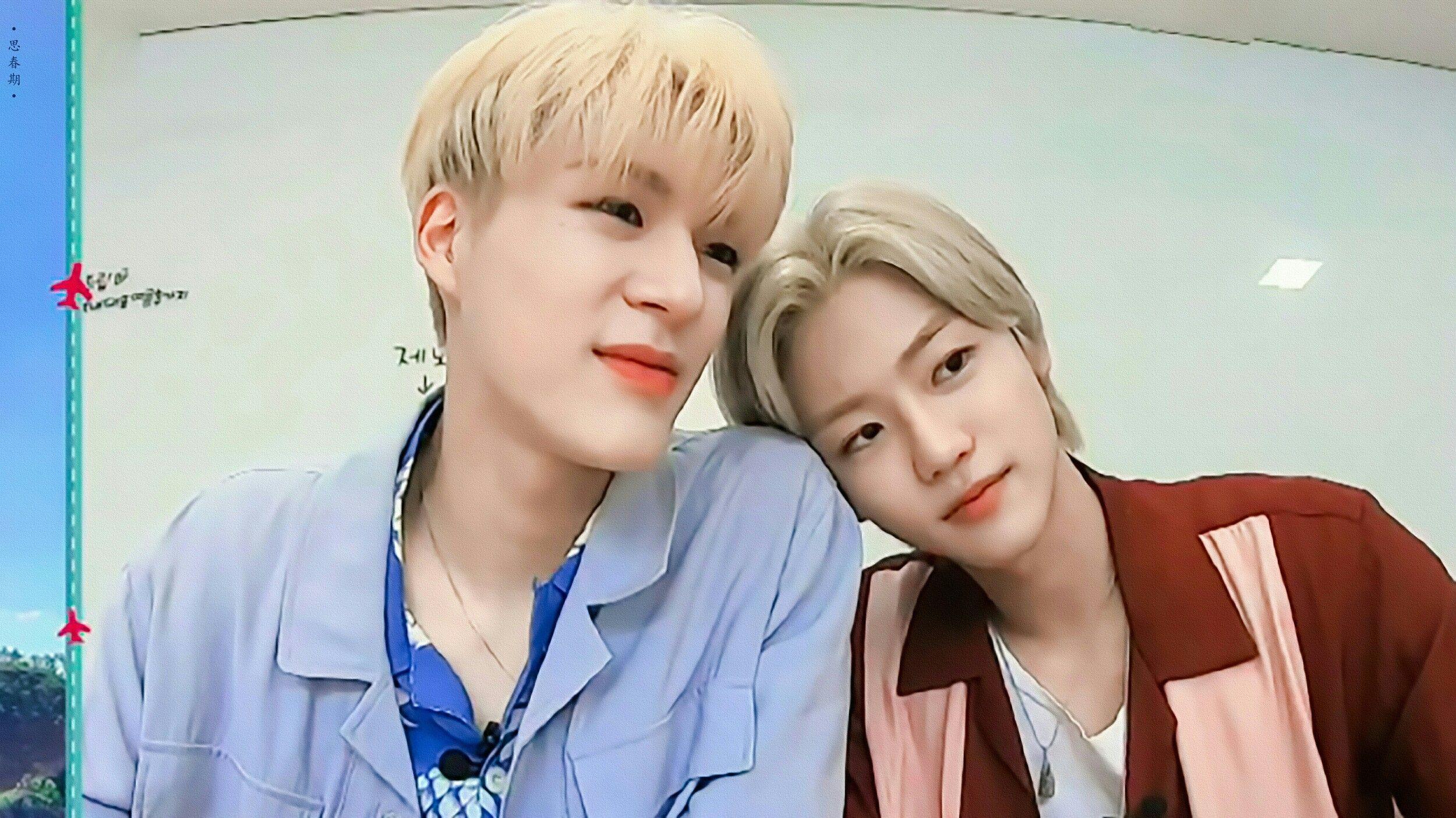 Nomin Wallpapers - Top Free Nomin Backgrounds - WallpaperAccess