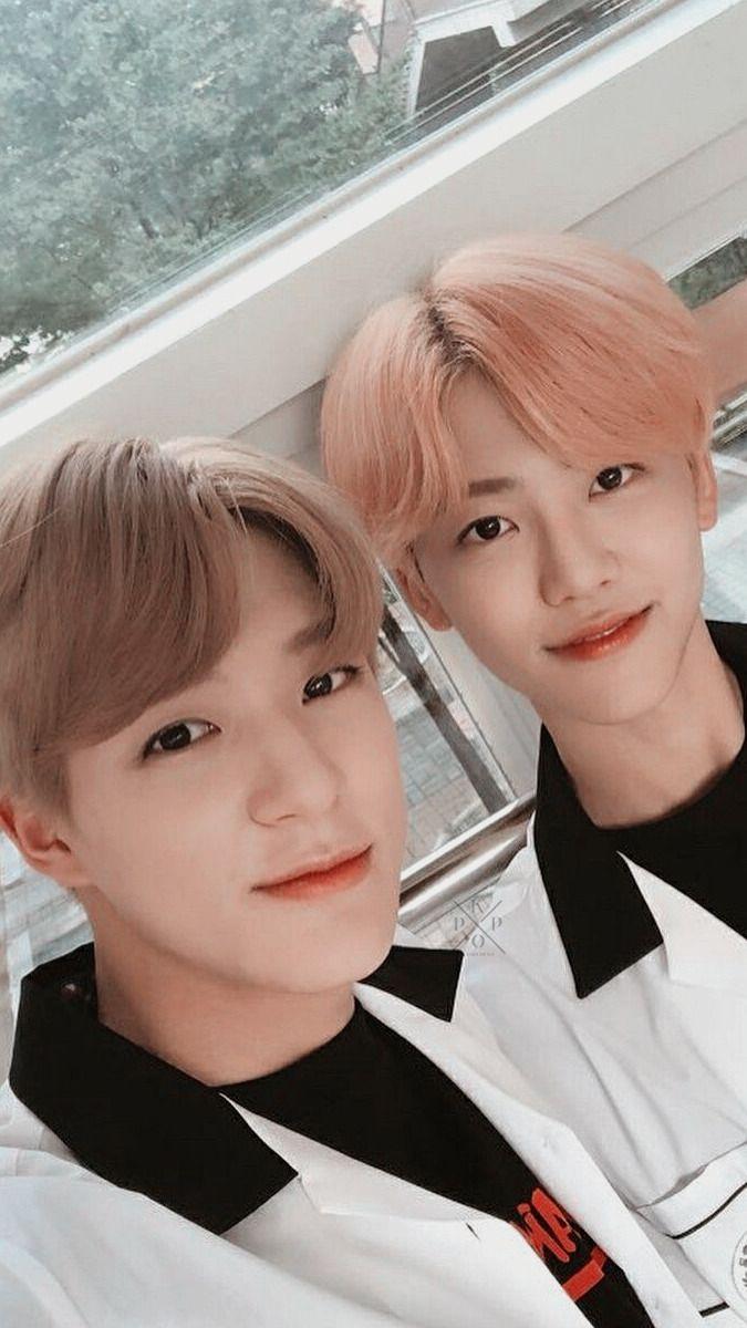 Nomin Wallpapers - Top Free Nomin Backgrounds - WallpaperAccess