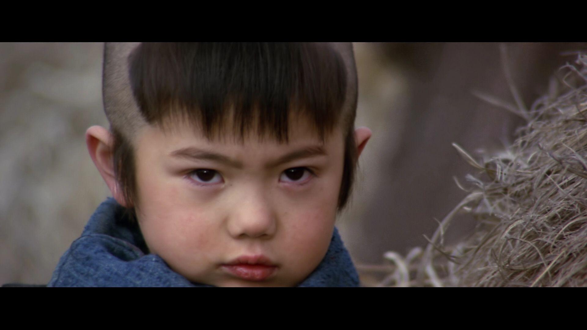 Shogun Assassin Wallpapers - Top Free Shogun Assassin Backgrounds ...