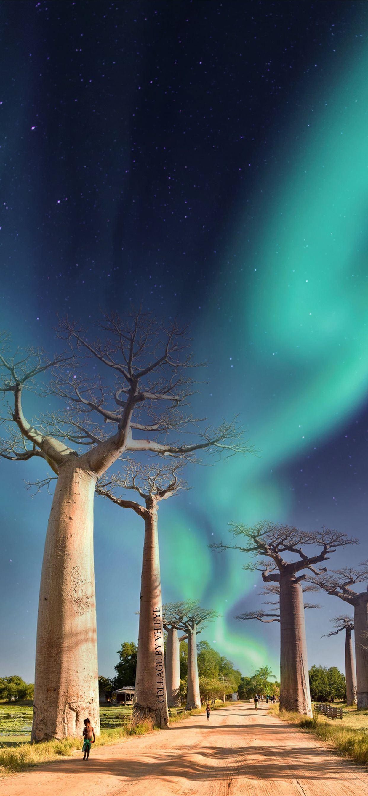 Madagascar Country Wallpapers - Top Free Madagascar Country Backgrounds ...