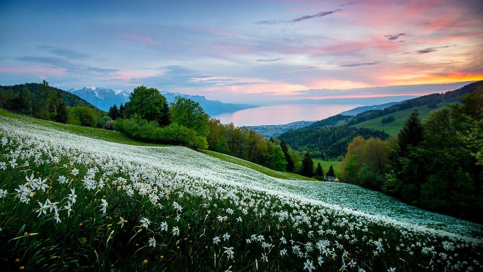 Natural Landscape Wallpapers - Top Free Natural Landscape Backgrounds ...