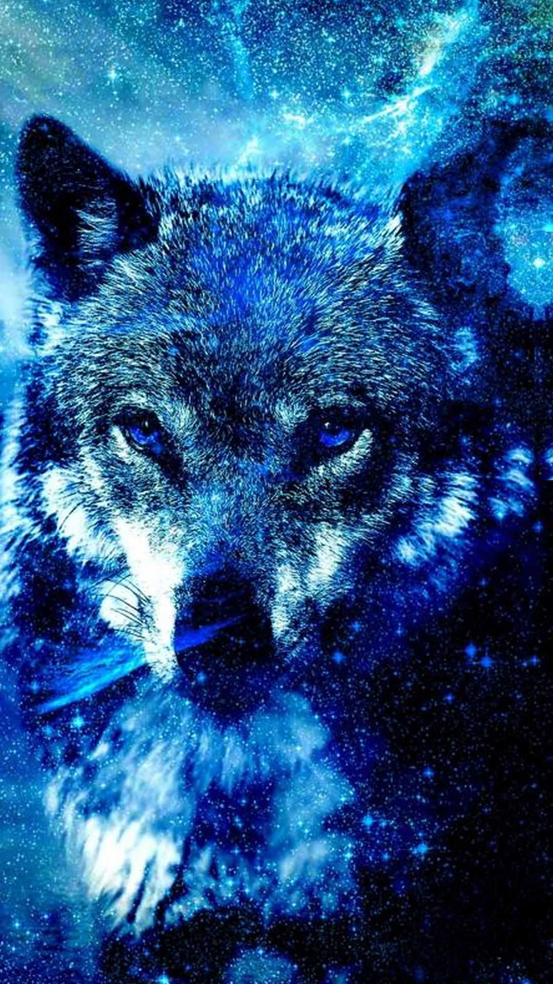 Color Wolf Wallpapers - Top Free Color Wolf Backgrounds - WallpaperAccess